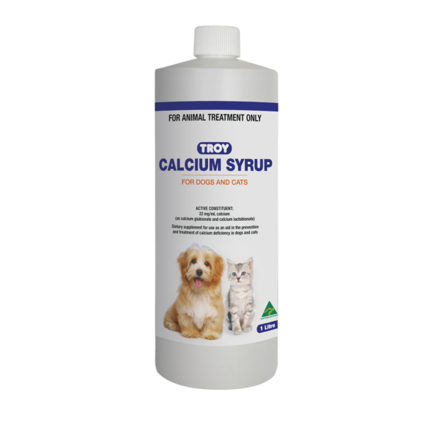 Troy Calcium Syrup - Troy Laboratories